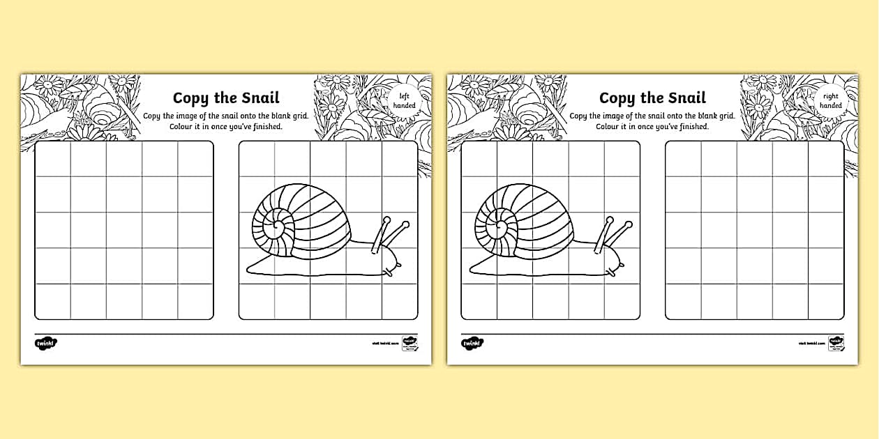 Copy the Snail Worksheet (Hecho por educadores) - Twinkl