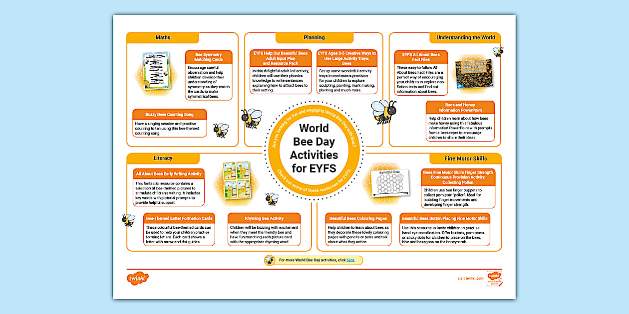 EYFS Bee Activities | Twinkl (teacher made) - Twinkl