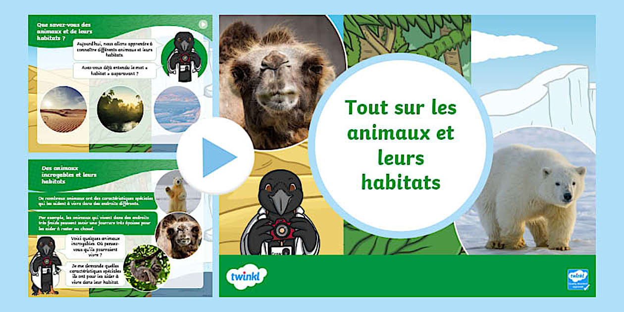 Tout sur les animaux et leurs habitats PowerPoint - Cycle 1 - 2
