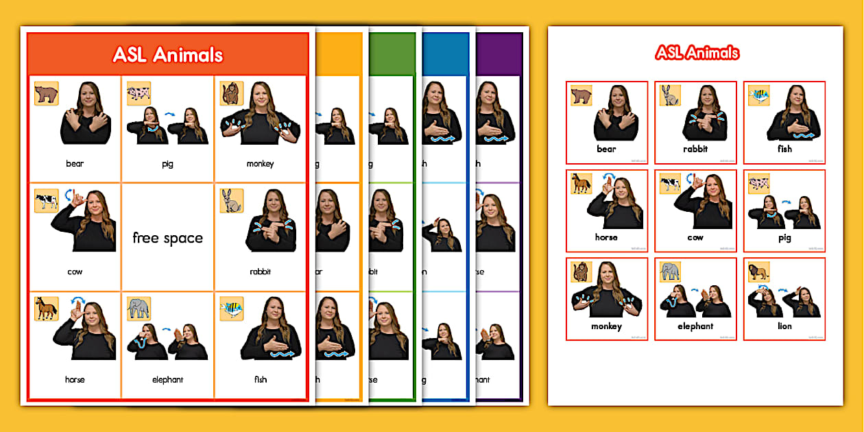 ASL Animals Bingo (teacher made) - Twinkl