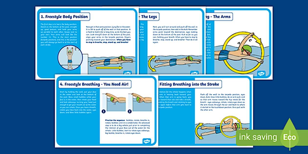 Teaching Freestyle Swimming Information Cards (teacher made)