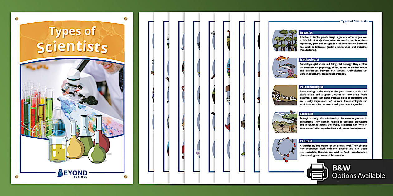 Types of Scientists (teacher made) - Twinkl