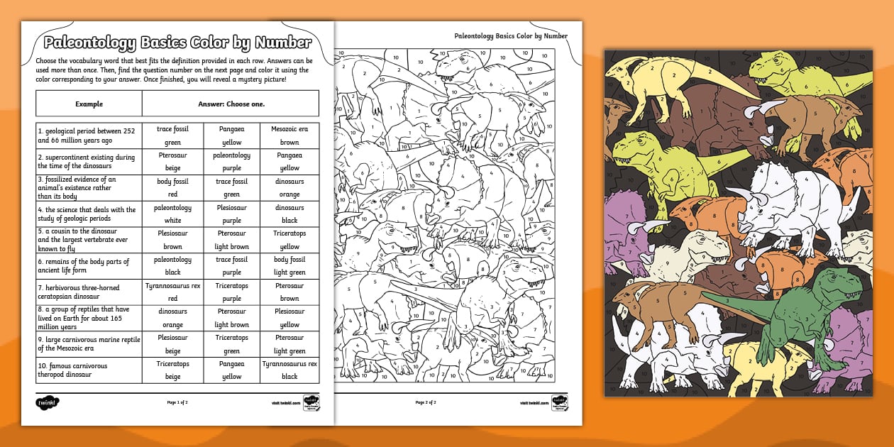 Sixth Grade Paleontology Basics Color by Number - Twinkl