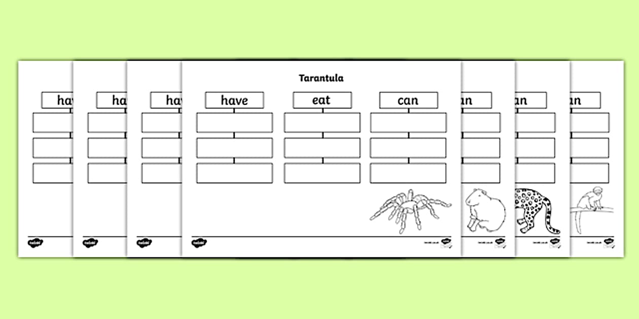 Cursive Rainforest Animals Have, Eat, Can Writing Frames