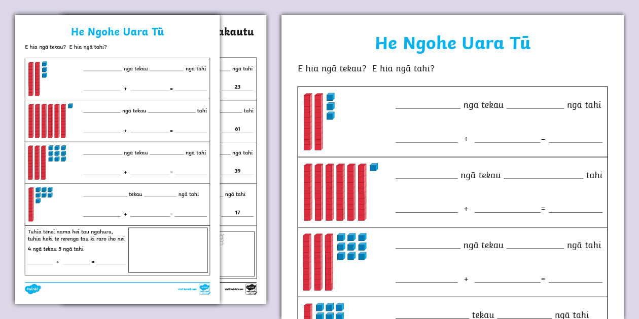 He Ngohe Uara Tū (teacher made) - Twinkl
