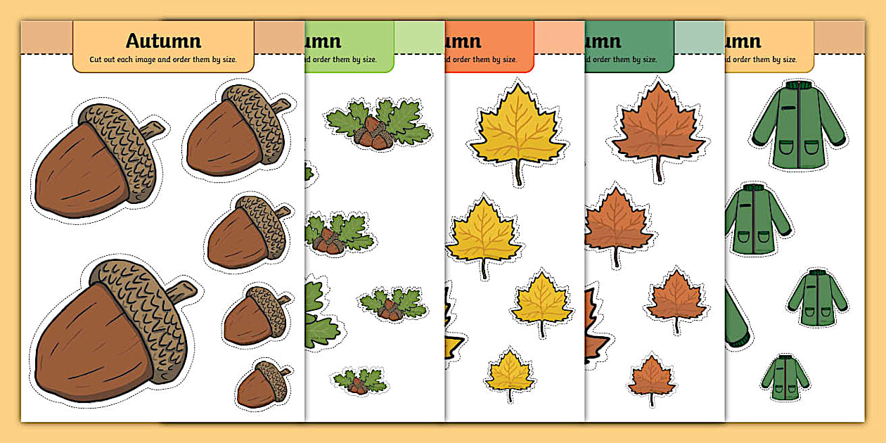 Autumn Size Ordering Activity (teacher made) - Twinkl