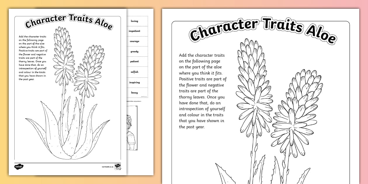 Character Traits Aloe Activity (teacher made) - Twinkl