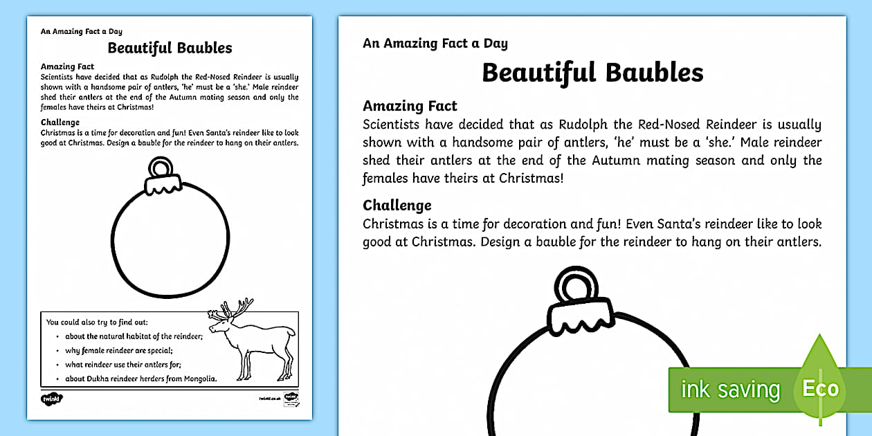 Beautiful Baubles Worksheet / Worksheet