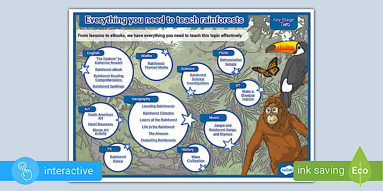 Rainforests Planning Map (Teacher-Made) - Twinkl