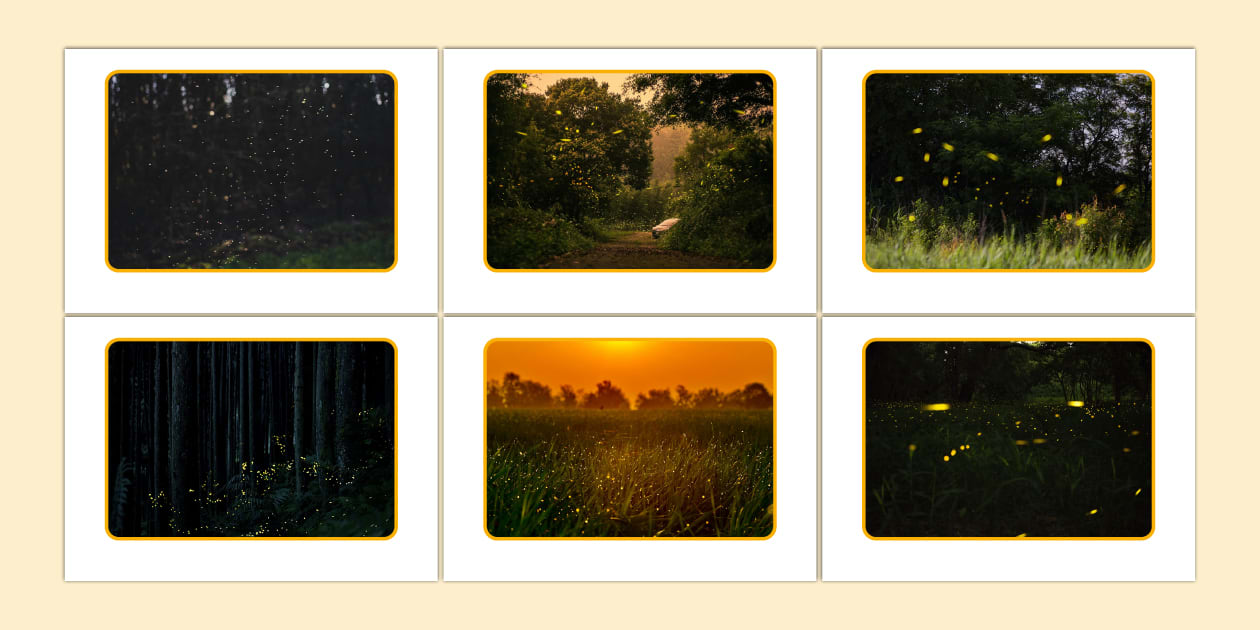 Fireflies Display Photos - Twinkl Science and Nature