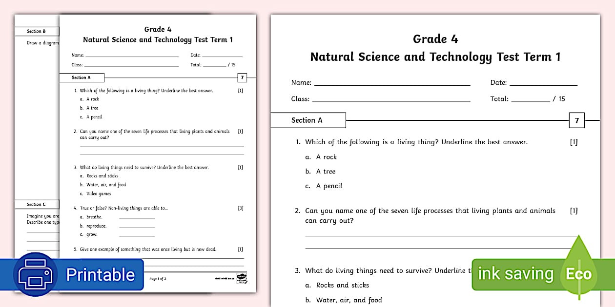 FREE! - Grade 4 Natural Science and Technology - Term 1 - Test (CAPS ...