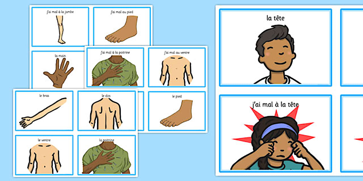 Parts Of The Body Communication Cards French - Twinkl