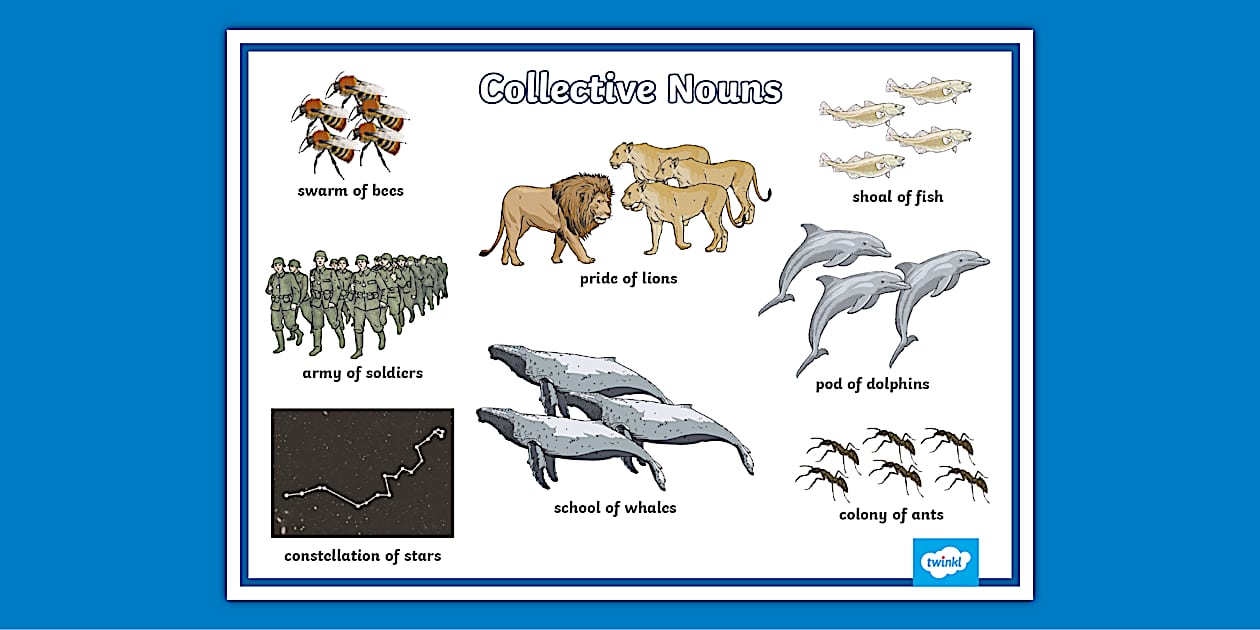 Collective Nouns for Animals Poster | Twinkl (teacher made)