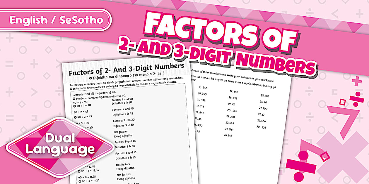 Factors of 2- And 3-Digit Numbers Activity Sheet
