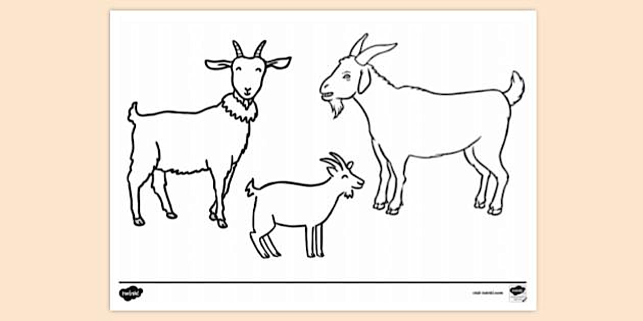 Colouring Page of Goats | Colouring Sheets - Twinkl