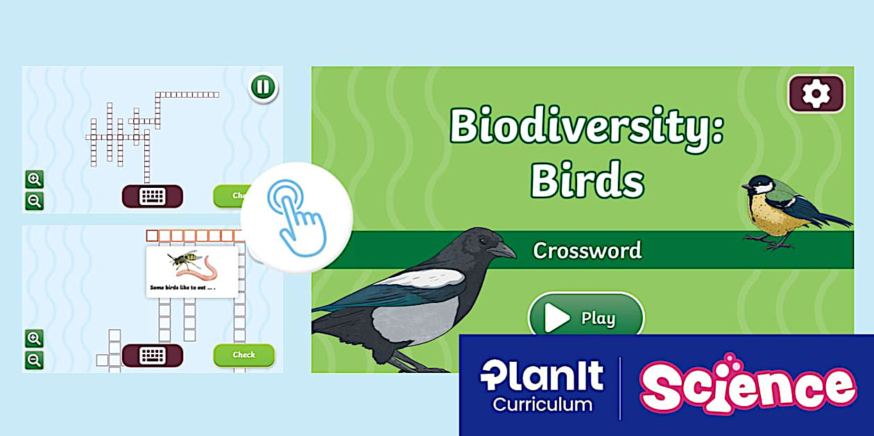 Biodiversity: Birds Crossword Game