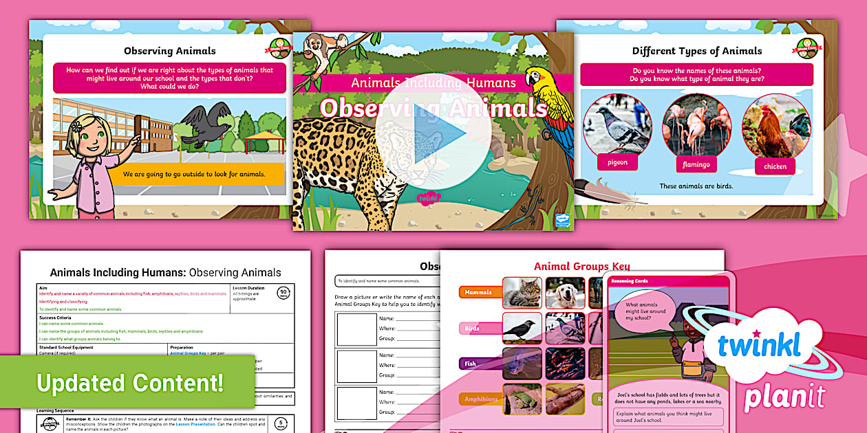 PlanIt: Animals Including Humans: Observing Animals Year 1 Lesson 1