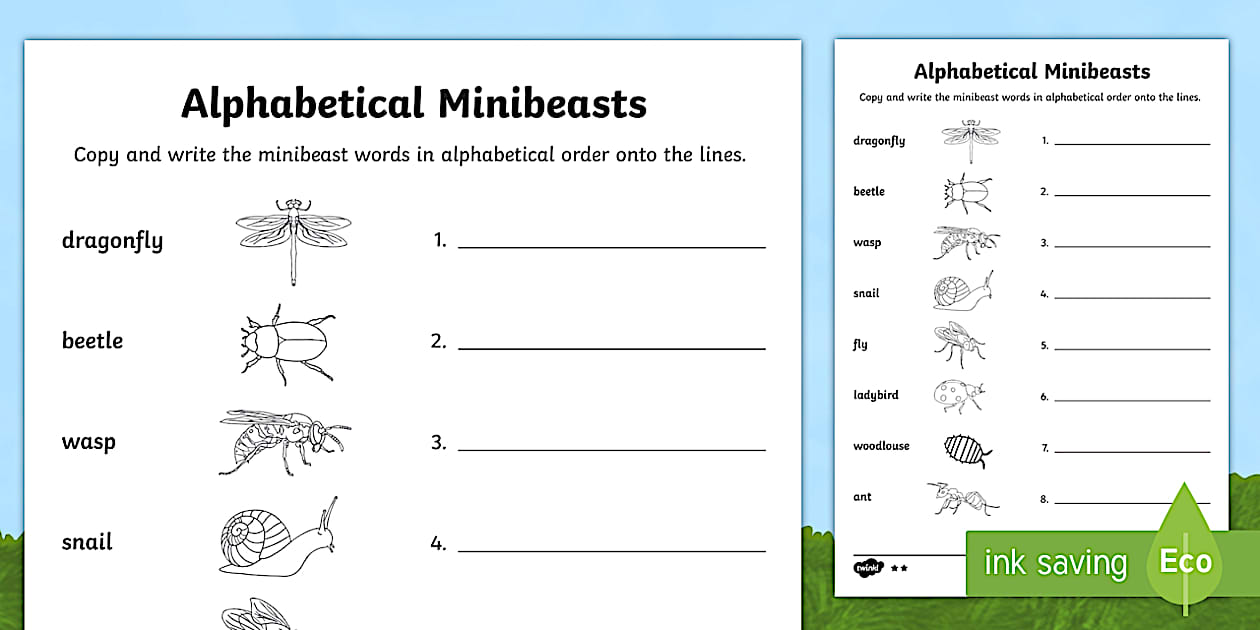 Editable Minibeast Alphabet Ordering Worksheet (Differentiated)