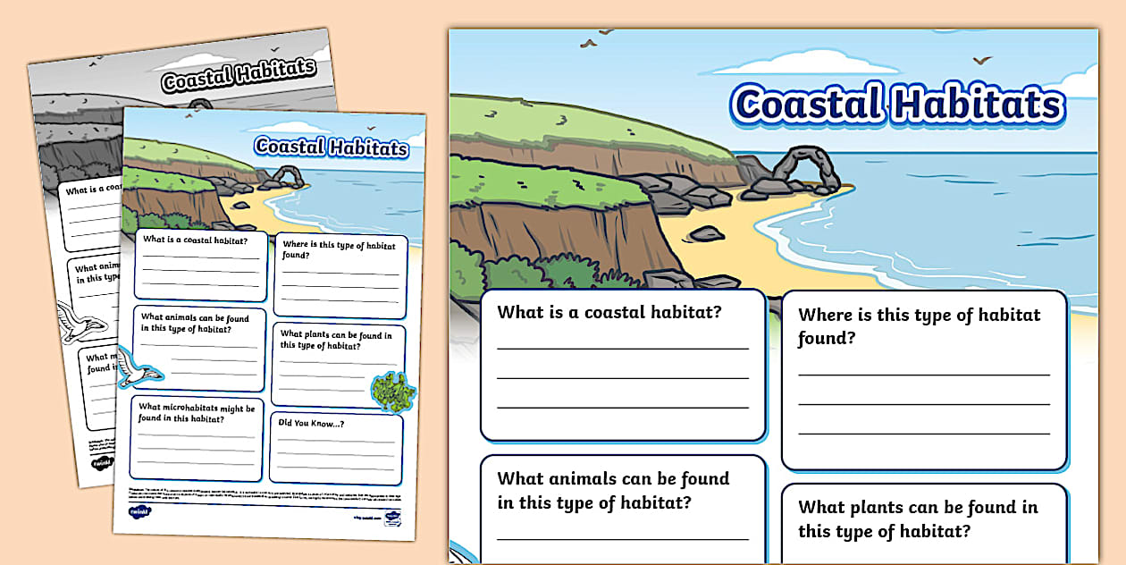 Coastal Habitats Fact File Template (teacher made) - Twinkl