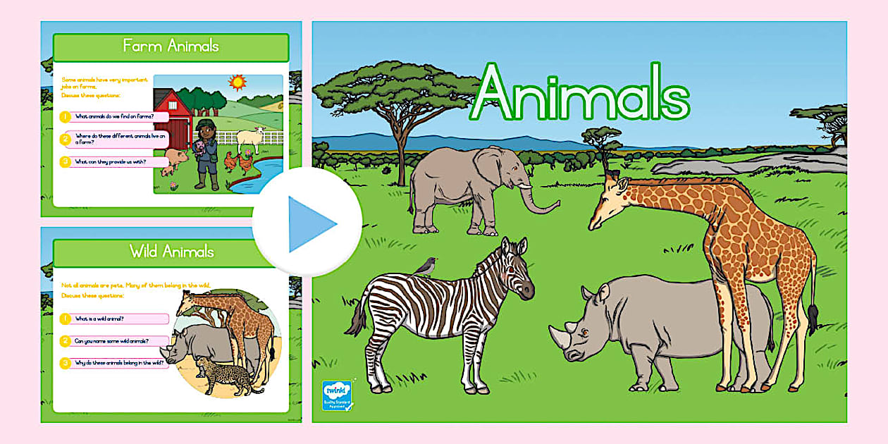 Grade 2 - Animals Discussion PowerPoint