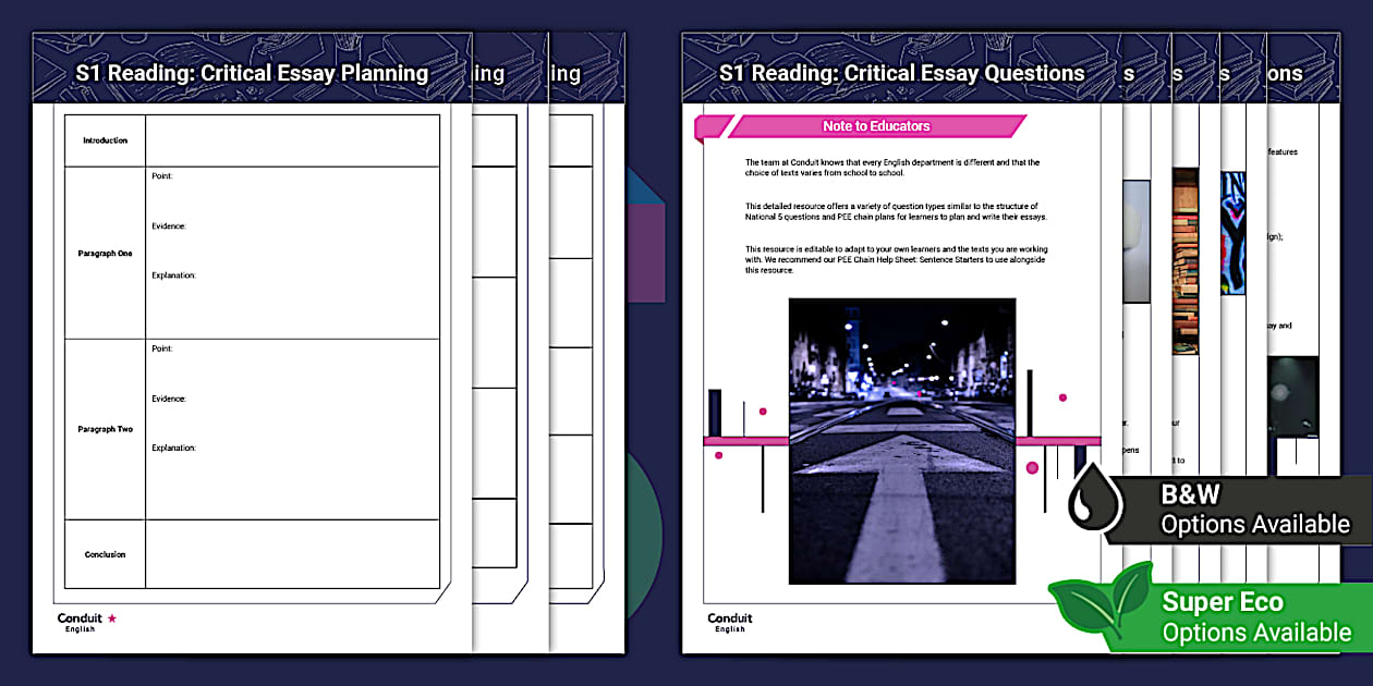 S1 Reading: Critical Essay Questions (teacher made) - Twinkl