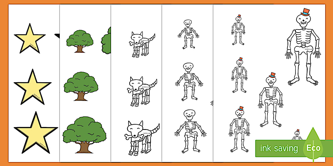 Funny Bones Size Ordering (teacher made) - Twinkl