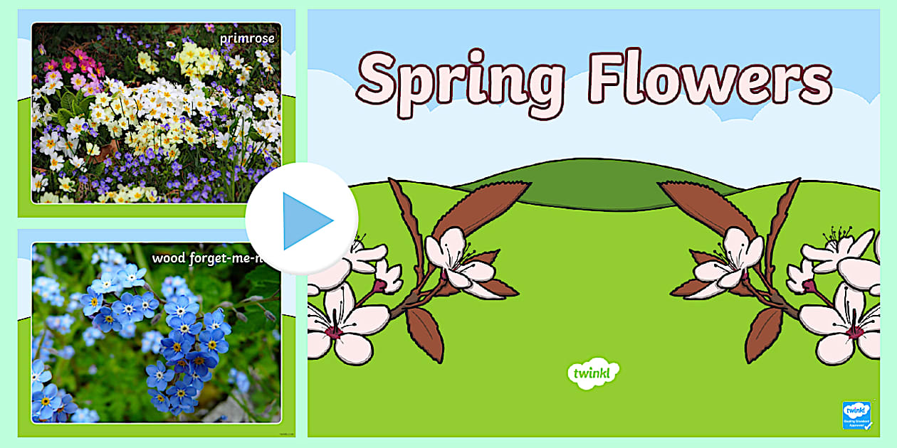 English Spring Flowers PowerPoint (teacher made) - Twinkl