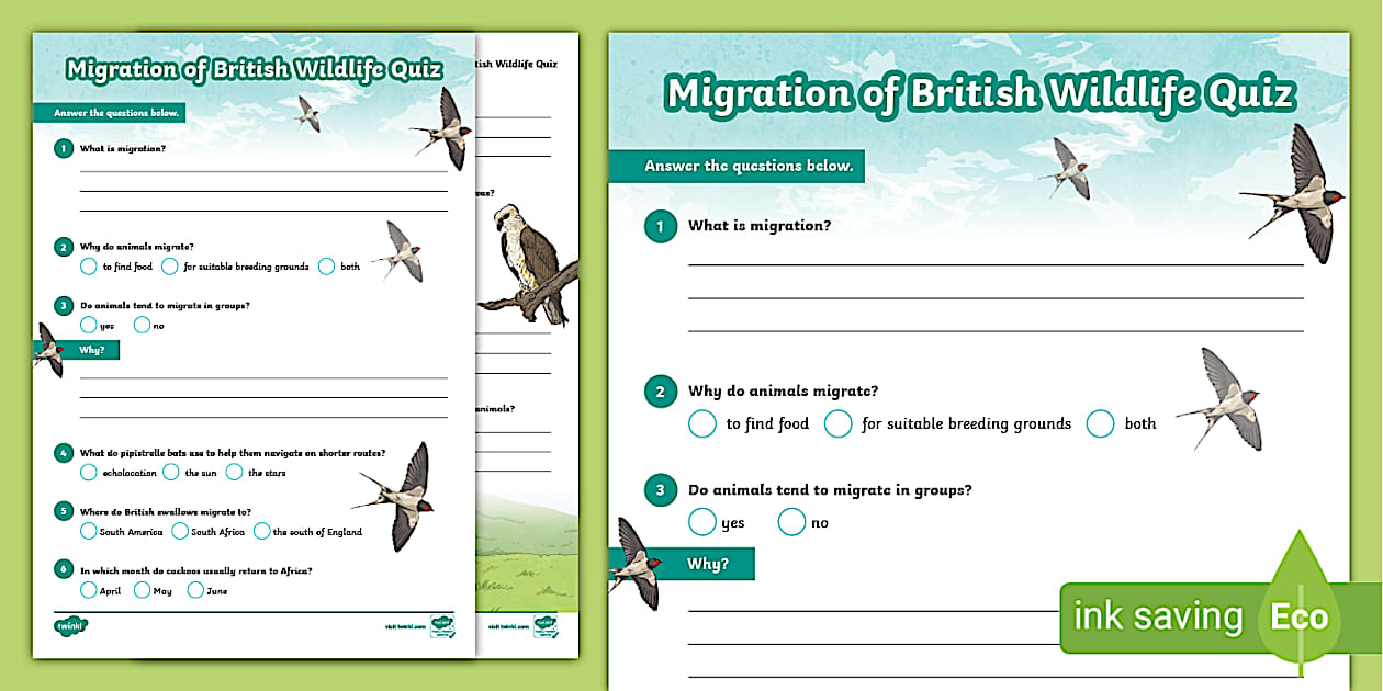 KS2 Migration of British Wildlife Paper Quiz - Twinkl