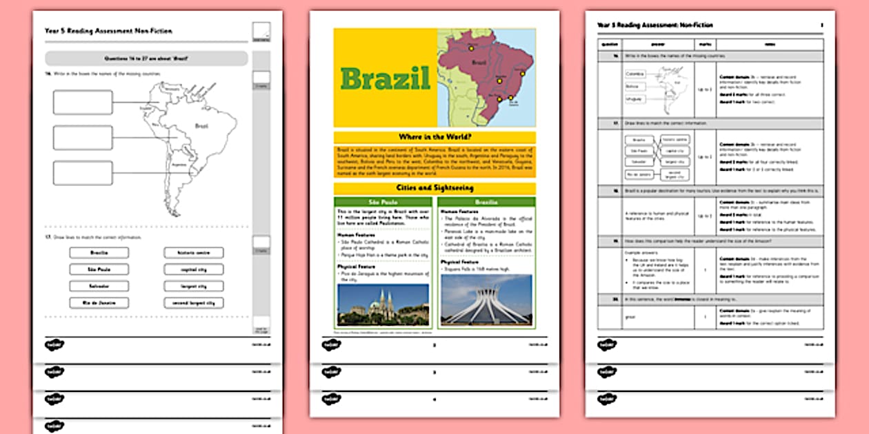 Year 5 Term 3 Non Fiction Reading Assessment - Twinkl