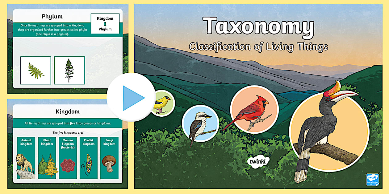 Taxonomy for Animals and More PowerPoint | Science | Twinkl