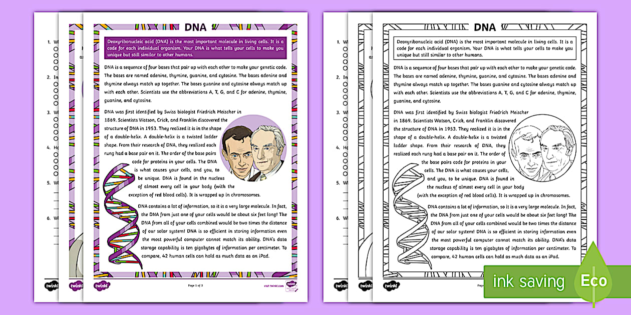 Fifth Grade DNA Reading Comprehension Worksheet - Twinkl