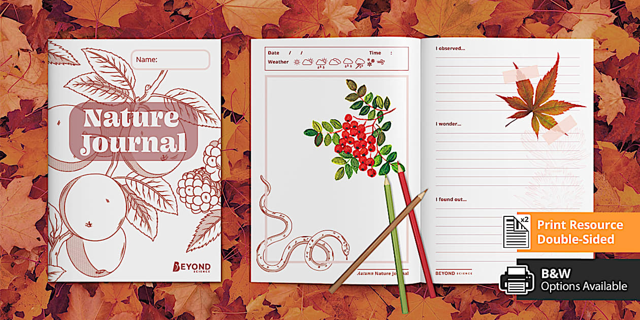 Autumn Nature Journal (teacher made) - Twinkl