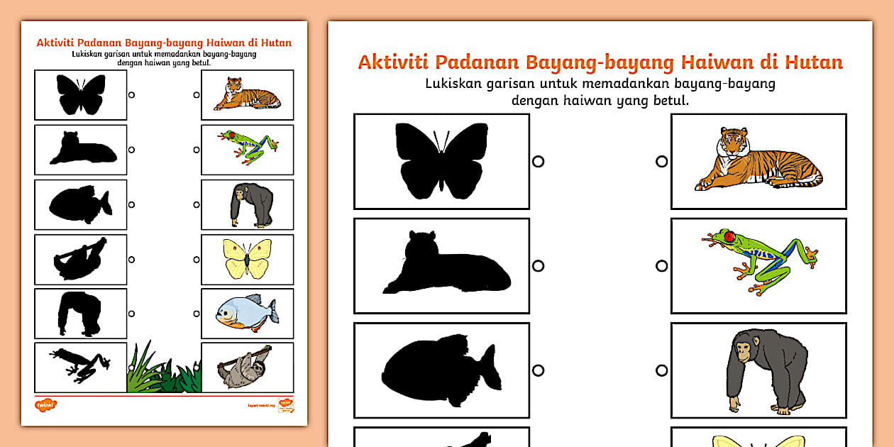 Aktiviti Padanan Bayang-bayang - Haiwan di Hutan - Twinkl