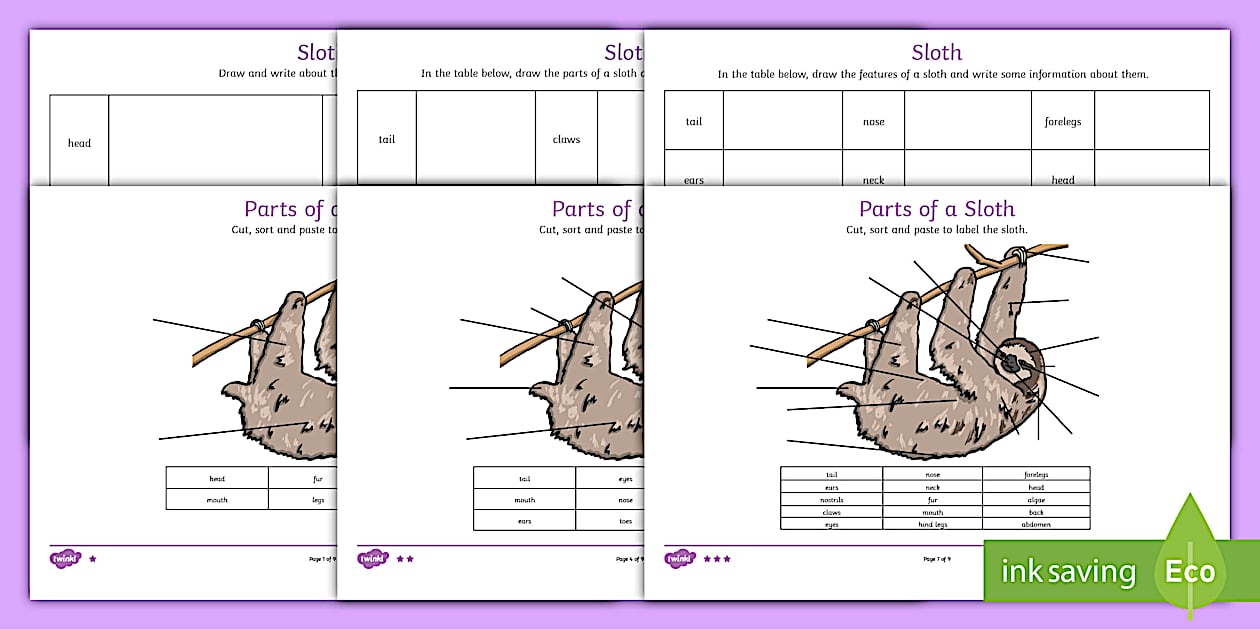 Parts of a Sloth Labelling Worksheet (Teacher-Made) - Twinkl