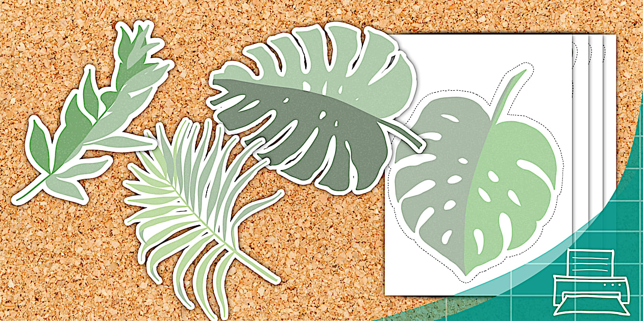 Decorative Leaves | Staffroom Noticeboard | Classroom Display | Tropical