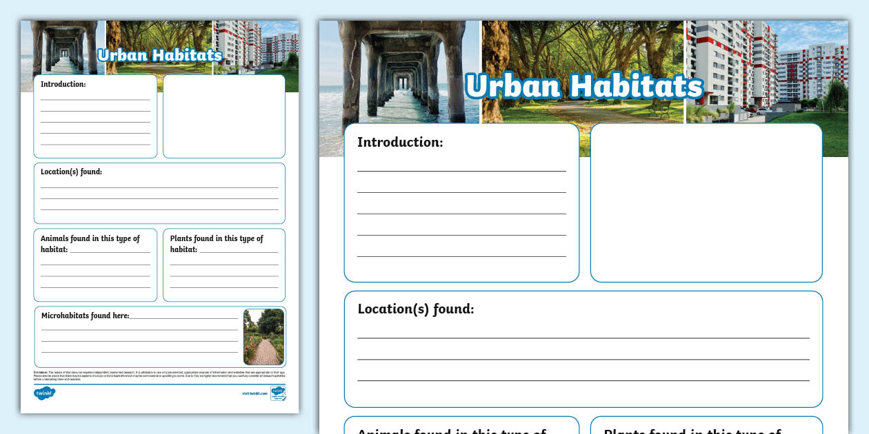 Urban Habitats Non-Chronological Report Template - Twinkl