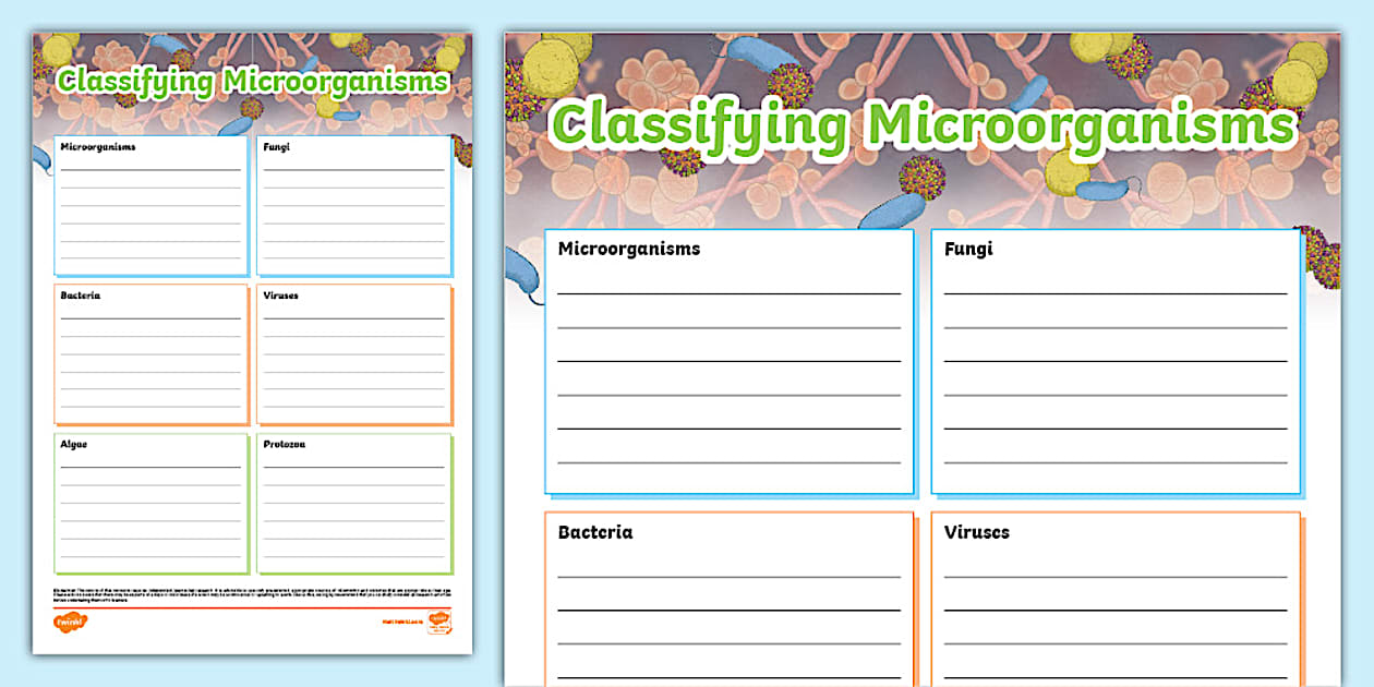 Classifying Microorganisms Fact File Template (teacher made)