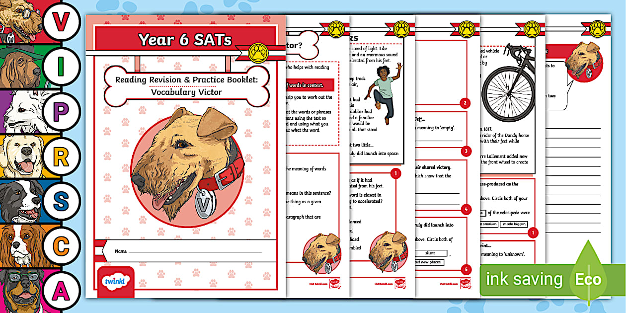 Year 6 Vocabulary Victor Reading Revision & Practice Booklet