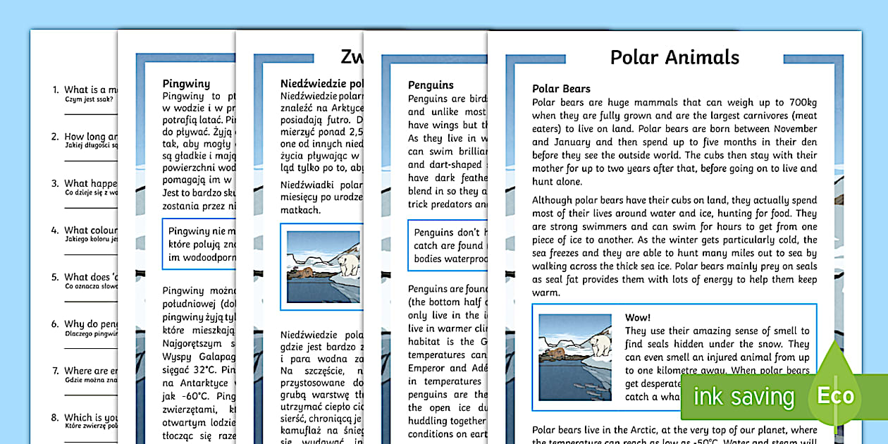Winter Animals Differentiated Reading Comprehension Activity English/Polish