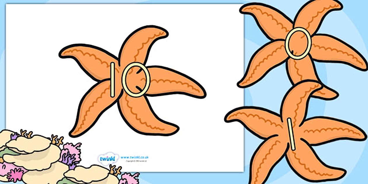 0-20 on Starfish (teacher made) - Twinkl