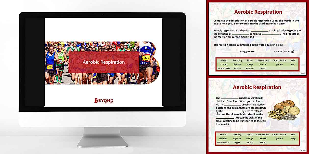 Aerobic Respiration Gap-Fill PowerPoint | Science | Beyond