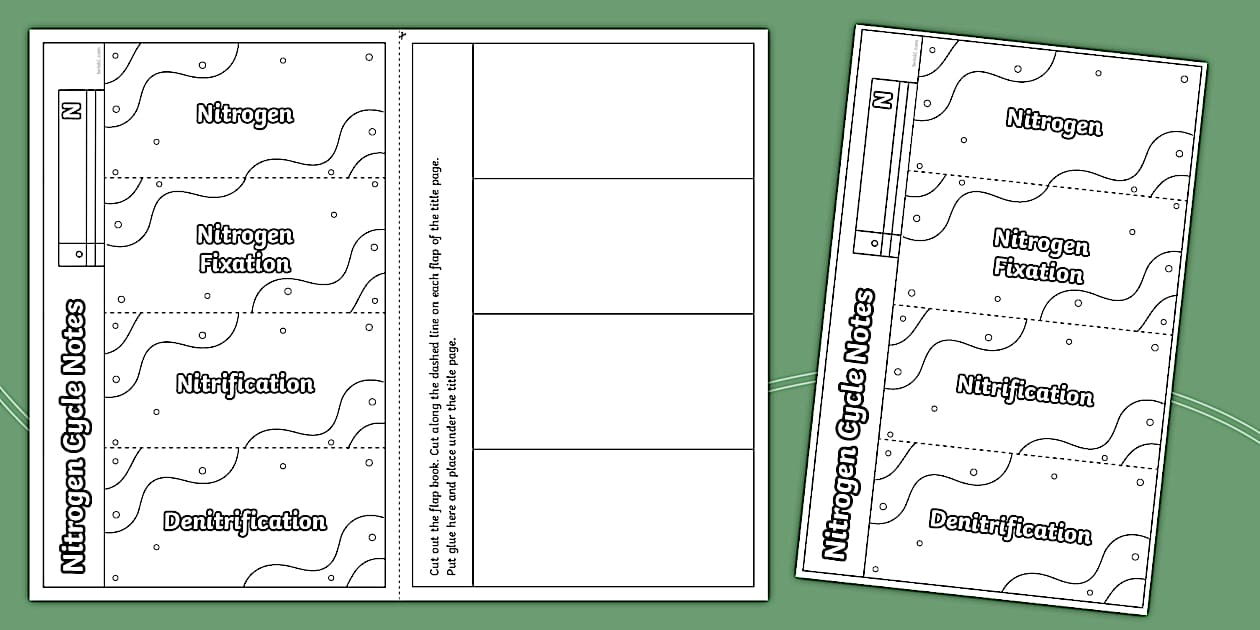 Nitrogen Cycle Notes Flap Book for 6th-8th Grade - Twinkl