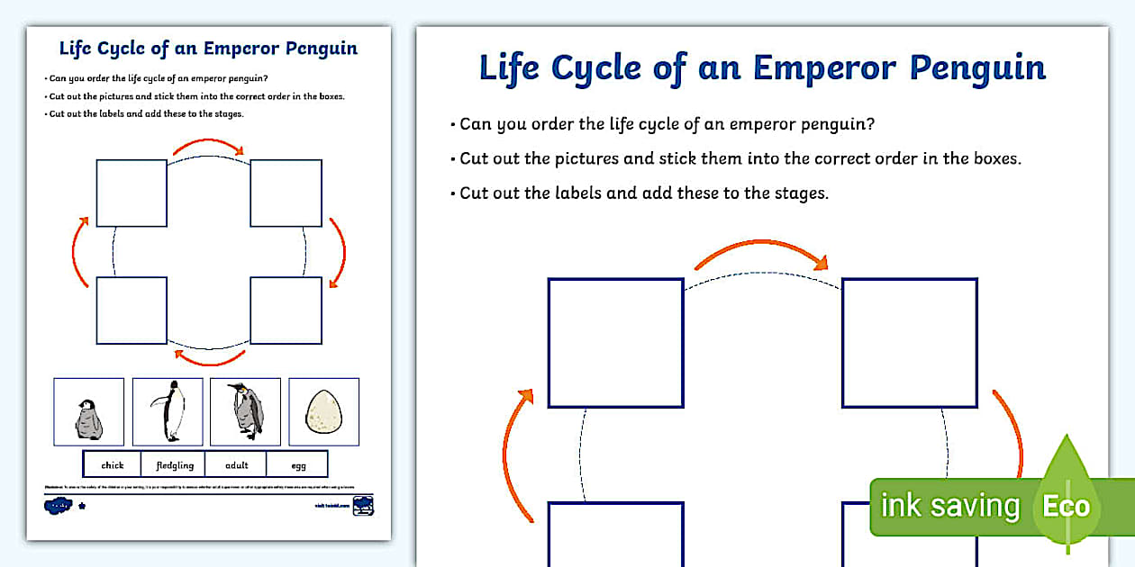 Emperor Penguin Life Cycle Worksheet (teacher made) - Twinkl