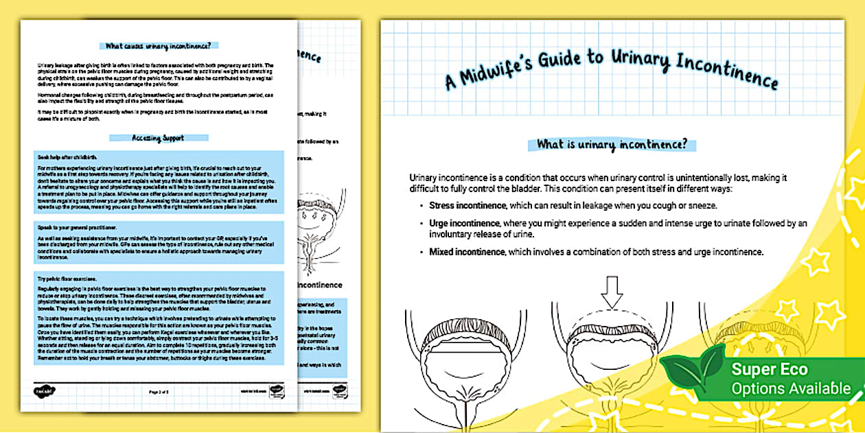 A Midwife's Guide to Urinary Incontinence (Teacher-Made)
