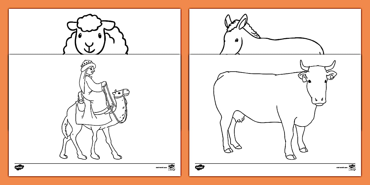 Nativity Animals Colouring Pack (teacher made) - Twinkl