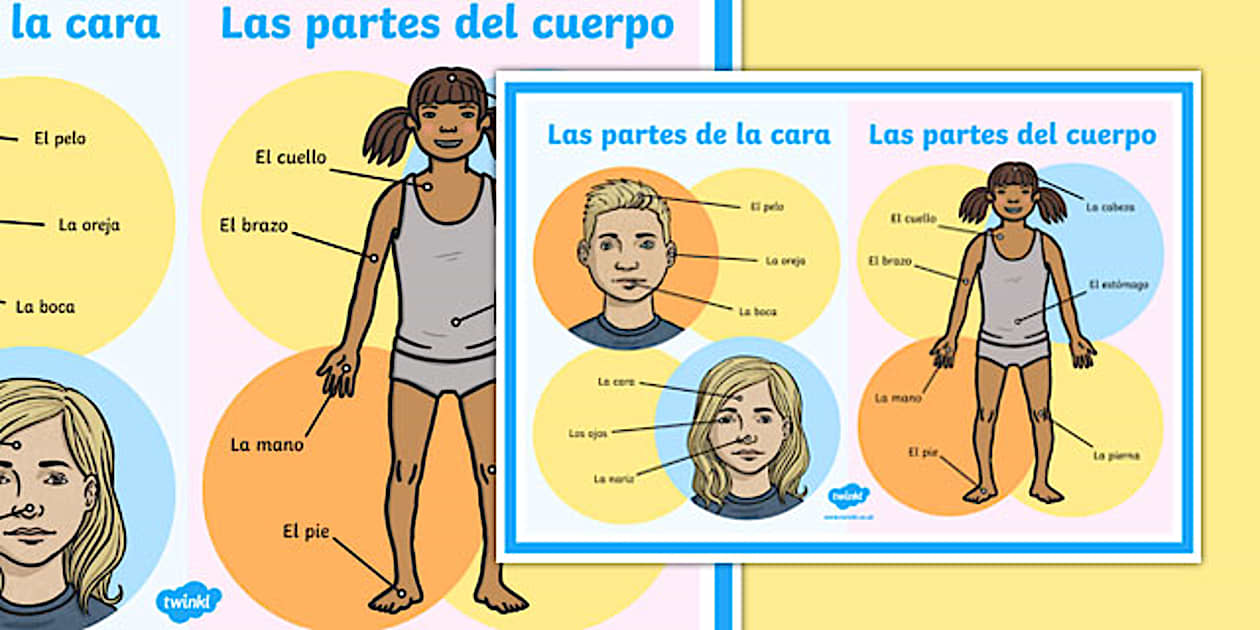Body Parts Display Poster-Spanish (teacher made) - Twinkl