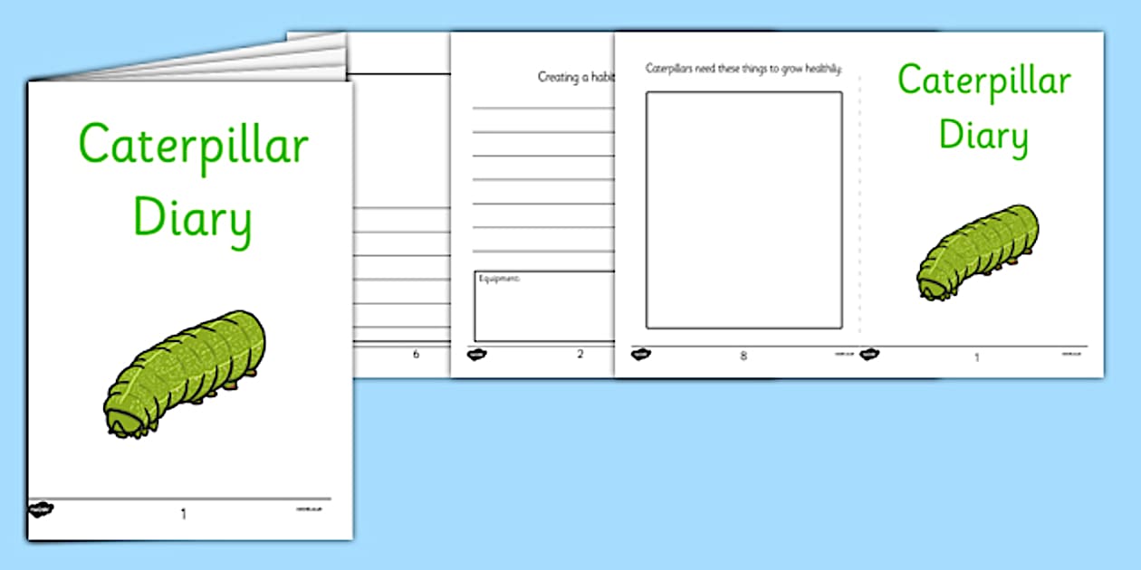 Caterpillars Diary Writing Frames (teacher made) - Twinkl
