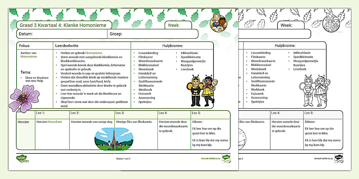 Graad 3 Klanke Lesplan Homonieme (teacher made) - Twinkl