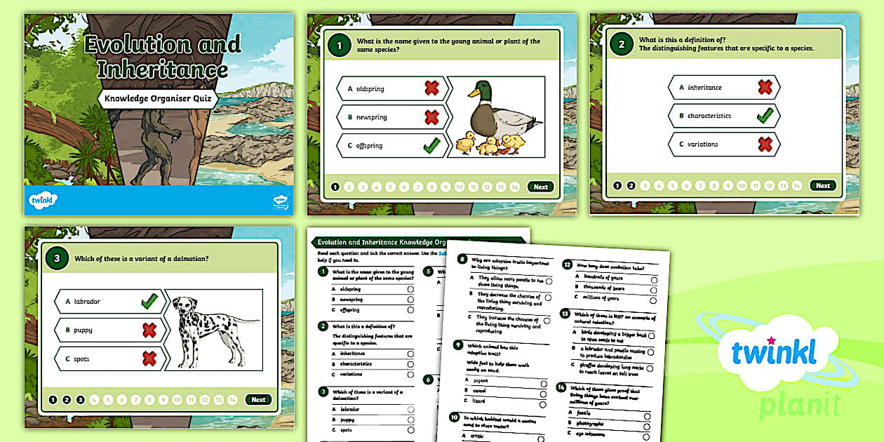 Evolution and Inheritance: Y6: Knowledge Organiser Quiz