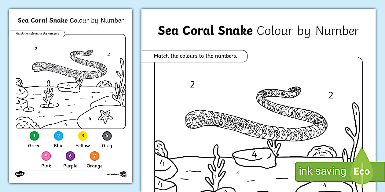 Free Sea Coral Snake Colour by Number for Kids! Download now